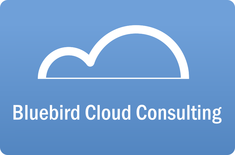 Contact Us | Bluebird Cloud Consulting